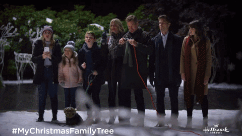 Top Holiday Lights Displays in Raleigh and Wake Forest for Families